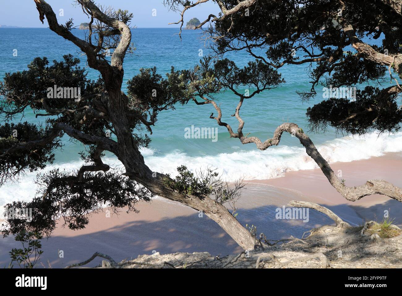 Gemstonebucht Neuseeland / Gemstone Bay New Zealand Stock Photo - Alamy