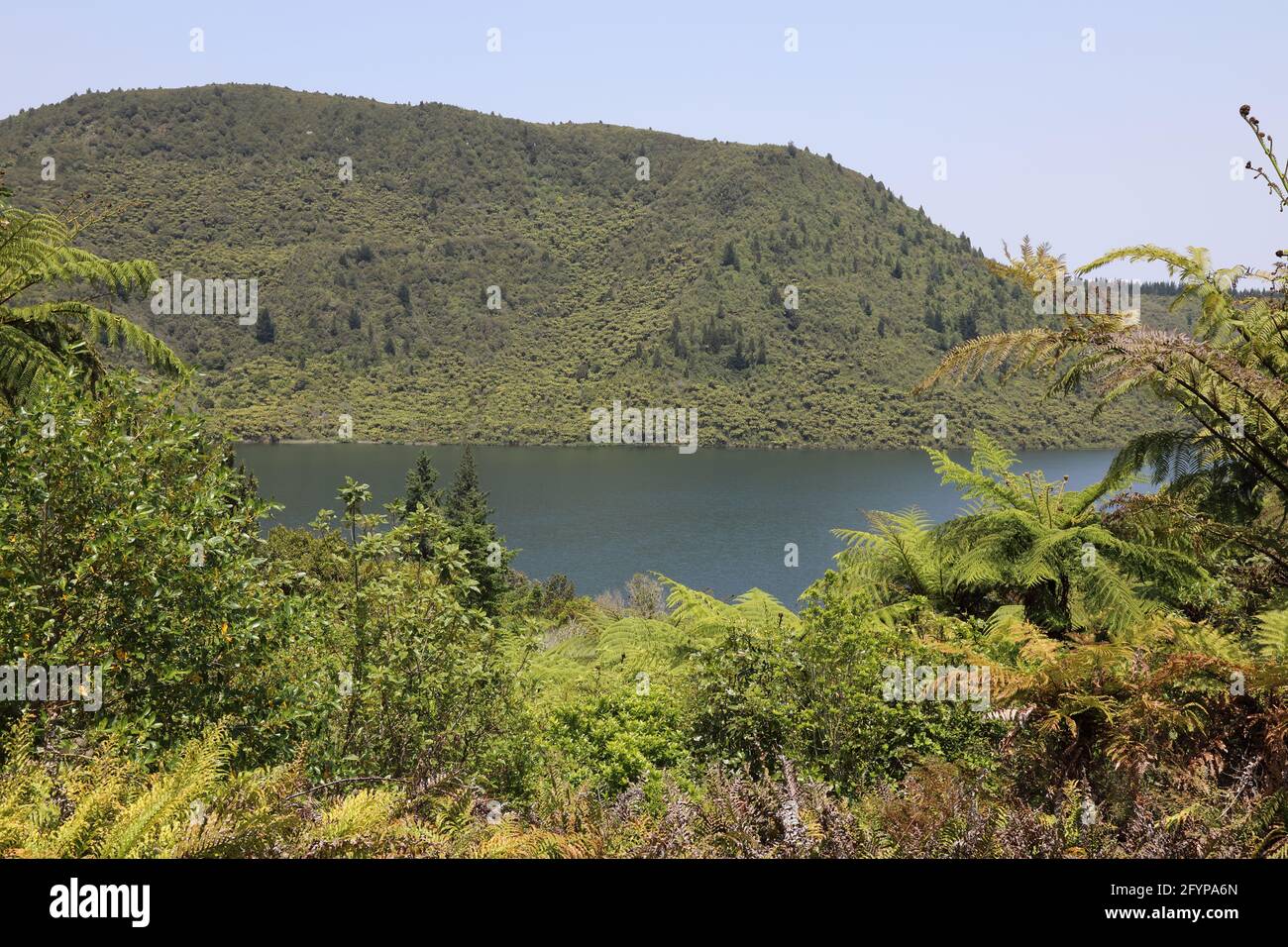 Lake rotokakahi hi-res stock photography and images - Alamy