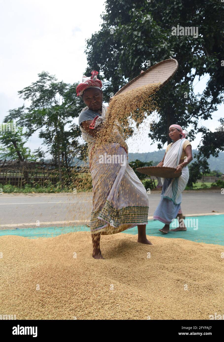Mayong, assam hi-res stock photography and images - Alamy