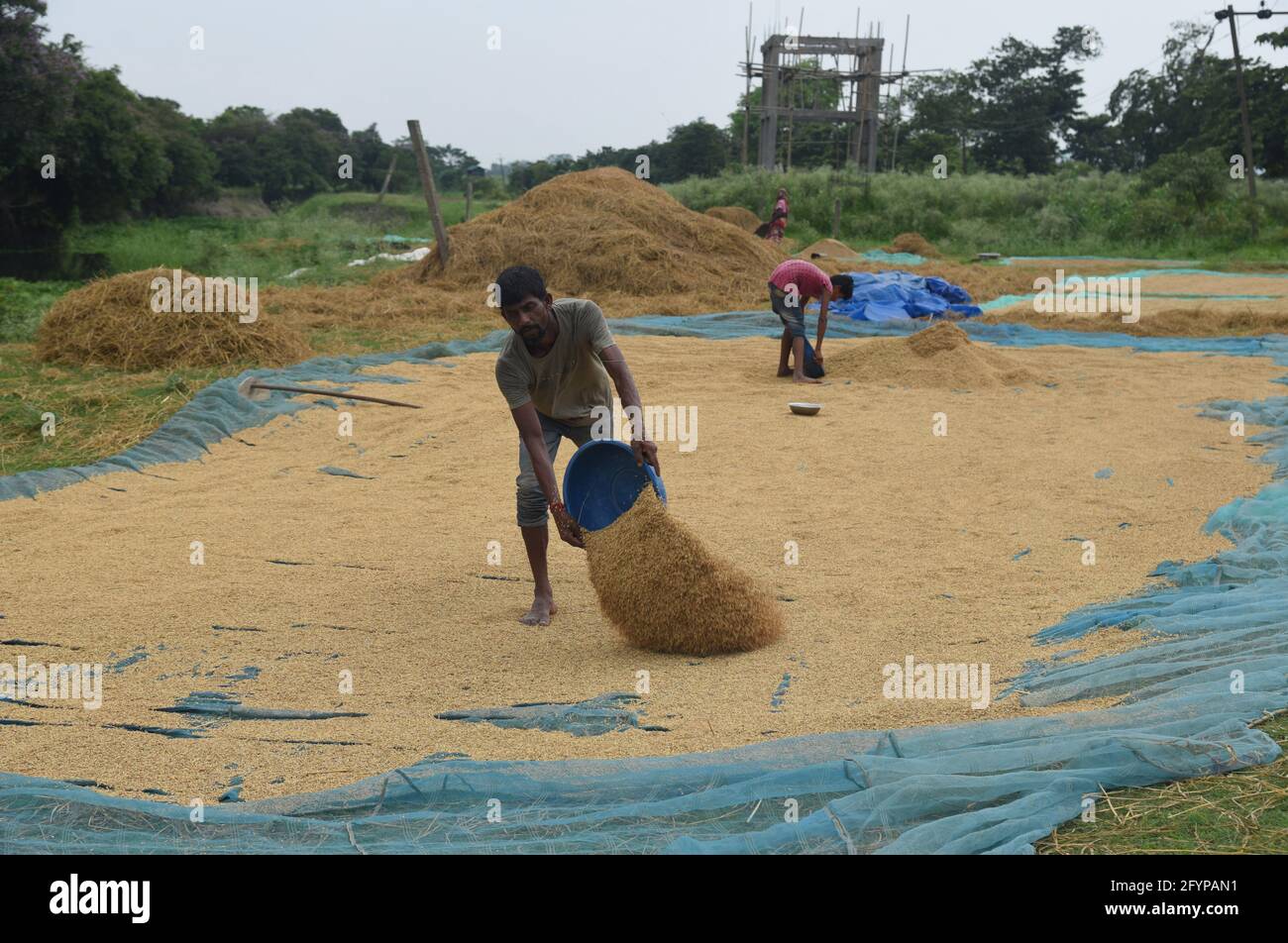 Burah hi-res stock photography and images - Alamy