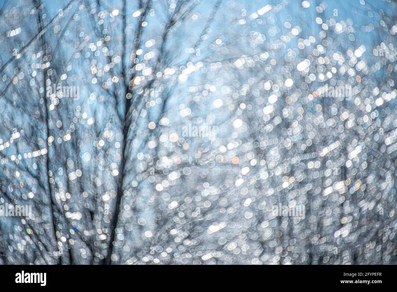 Ice covered trees with light refraction rainbows Stock Photo - Alamy