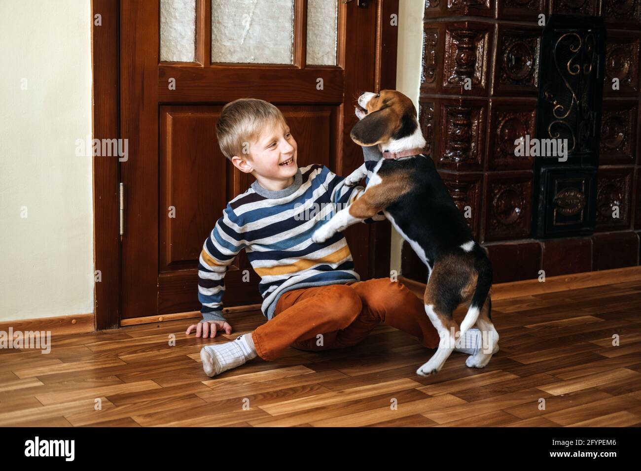 Games to play with beagle puppies. How to Entertain puppy and adult ...