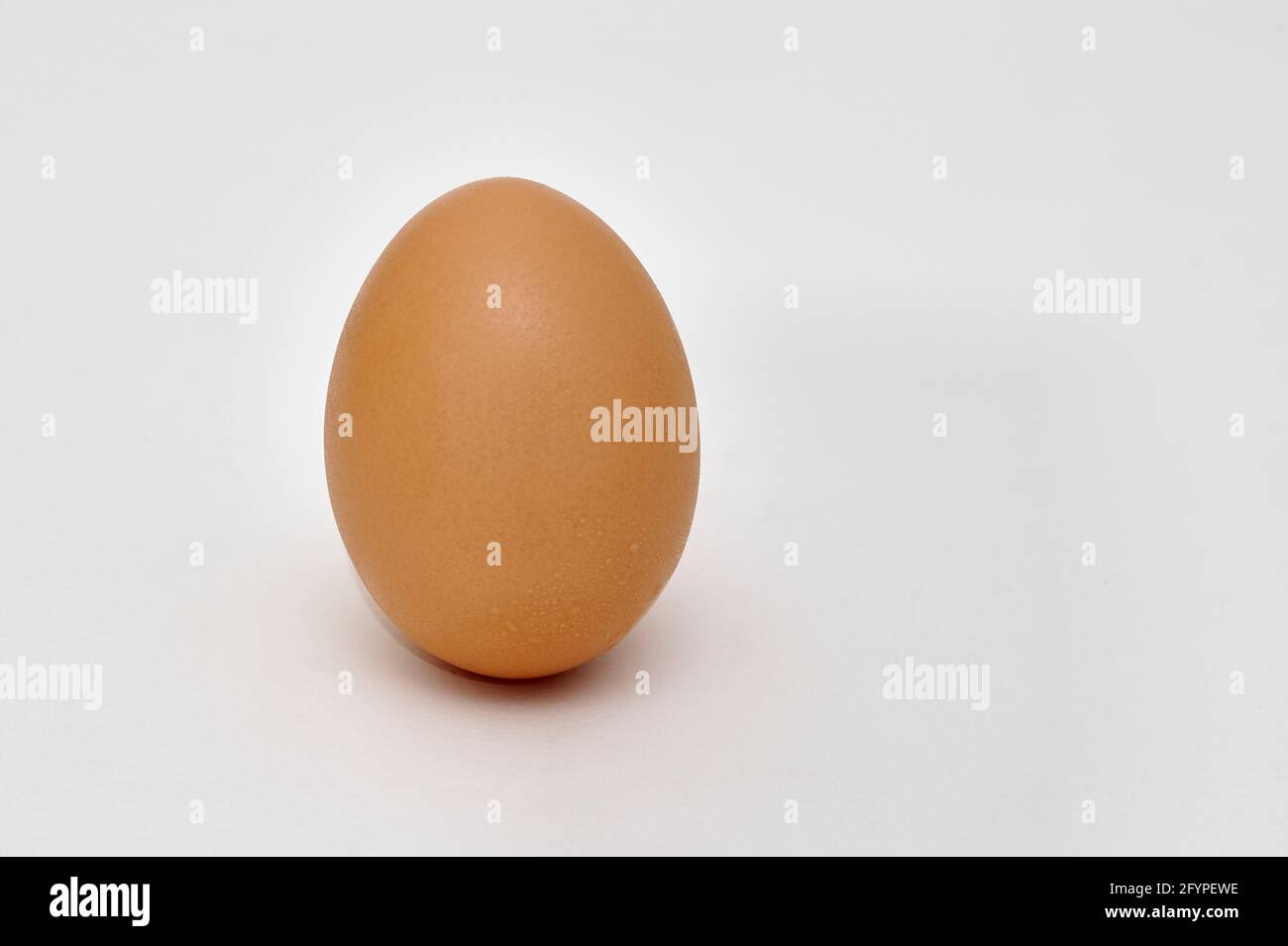 Single chicken egg on a white background Stock Photo - Alamy