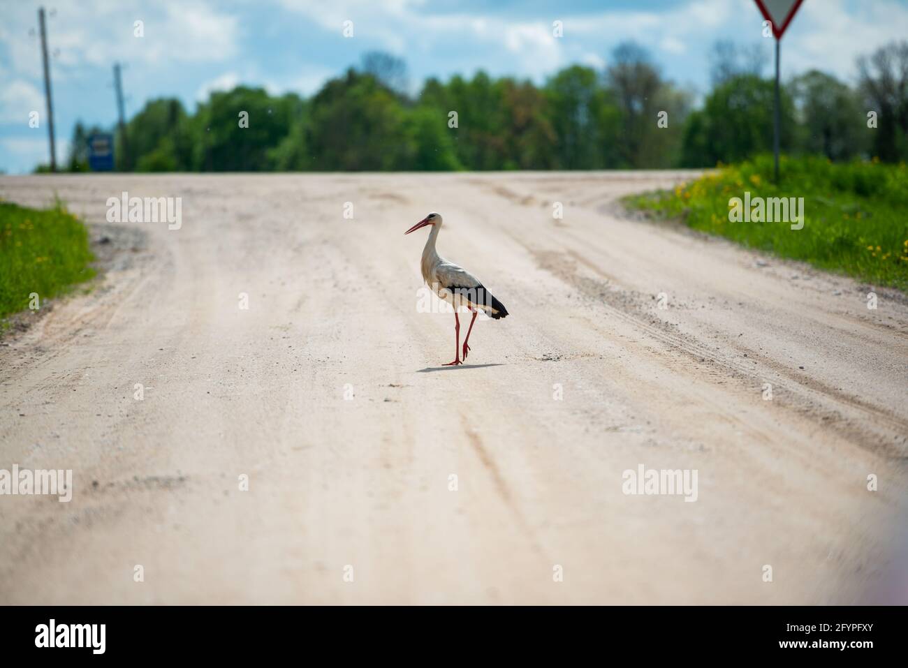 Average landscape hi-res stock photography and images - Alamy