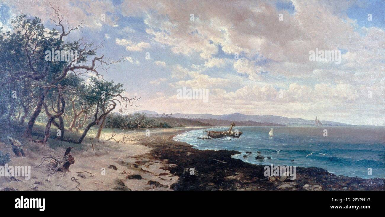 MARINA. Author: ESTEBAN CHARTRAND. Location: MUSEO NACIONAL DE BELLAS ...