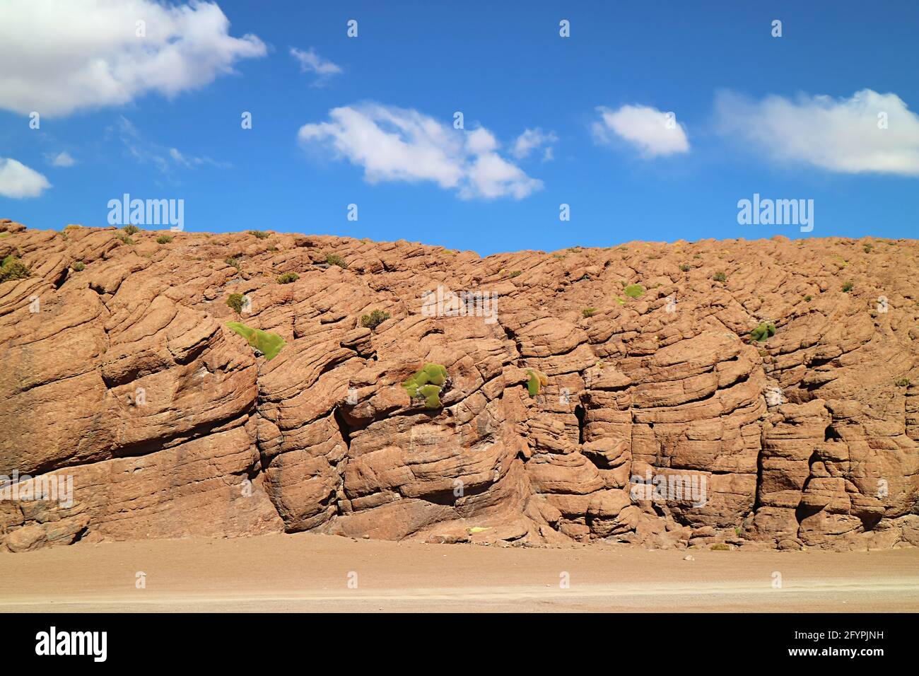 Amazing Rock Formations with Growing Unique Desert Plants Called Yareta ...