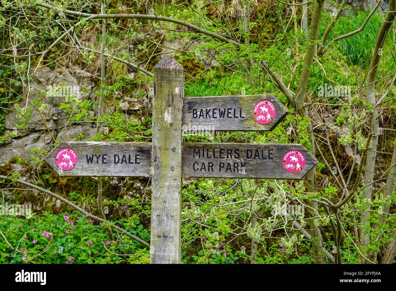 Wooden footpath sign, signboard, Cheedale, Peak District, National Park ...