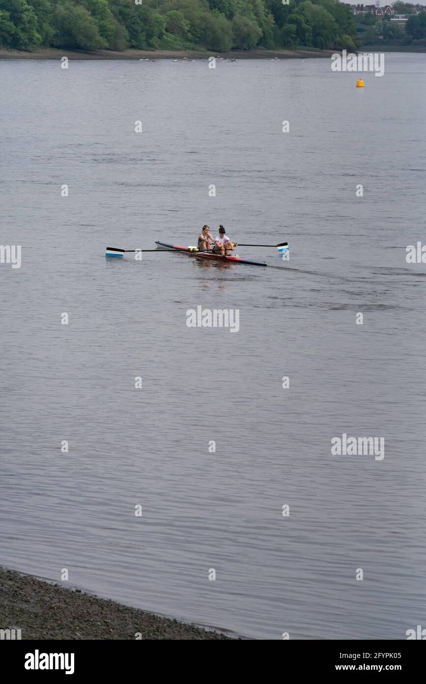 Rowing on the River Thames, Putney, London, england Stock Photo - Alamy