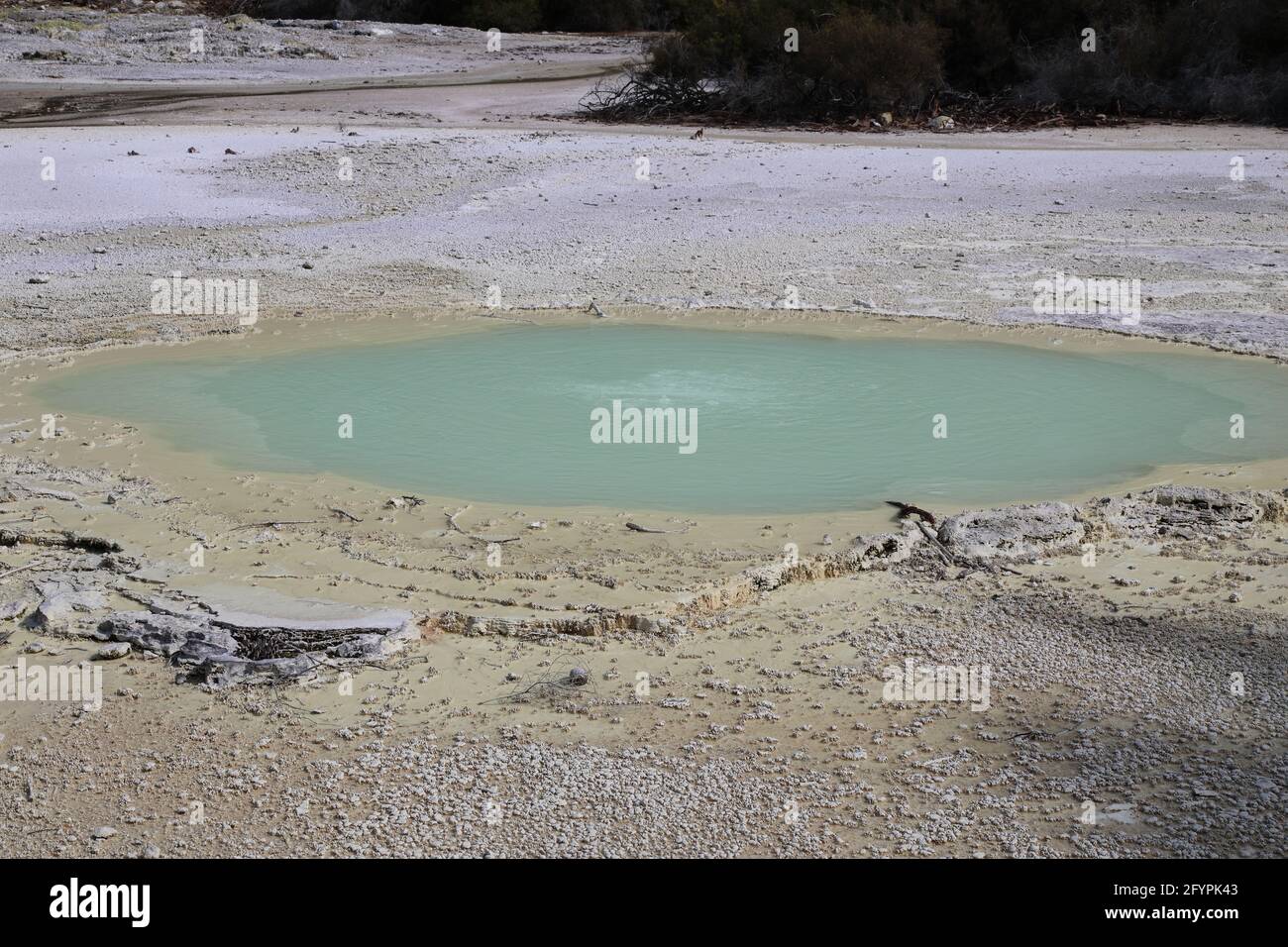 Wai-O-Tapu Thermalwunderland Te Puna Tio Schwefelpool / Wai-O-Tapu ...