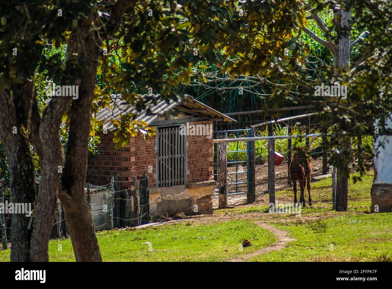 Brazilian farm house hi-res stock photography and images - Alamy