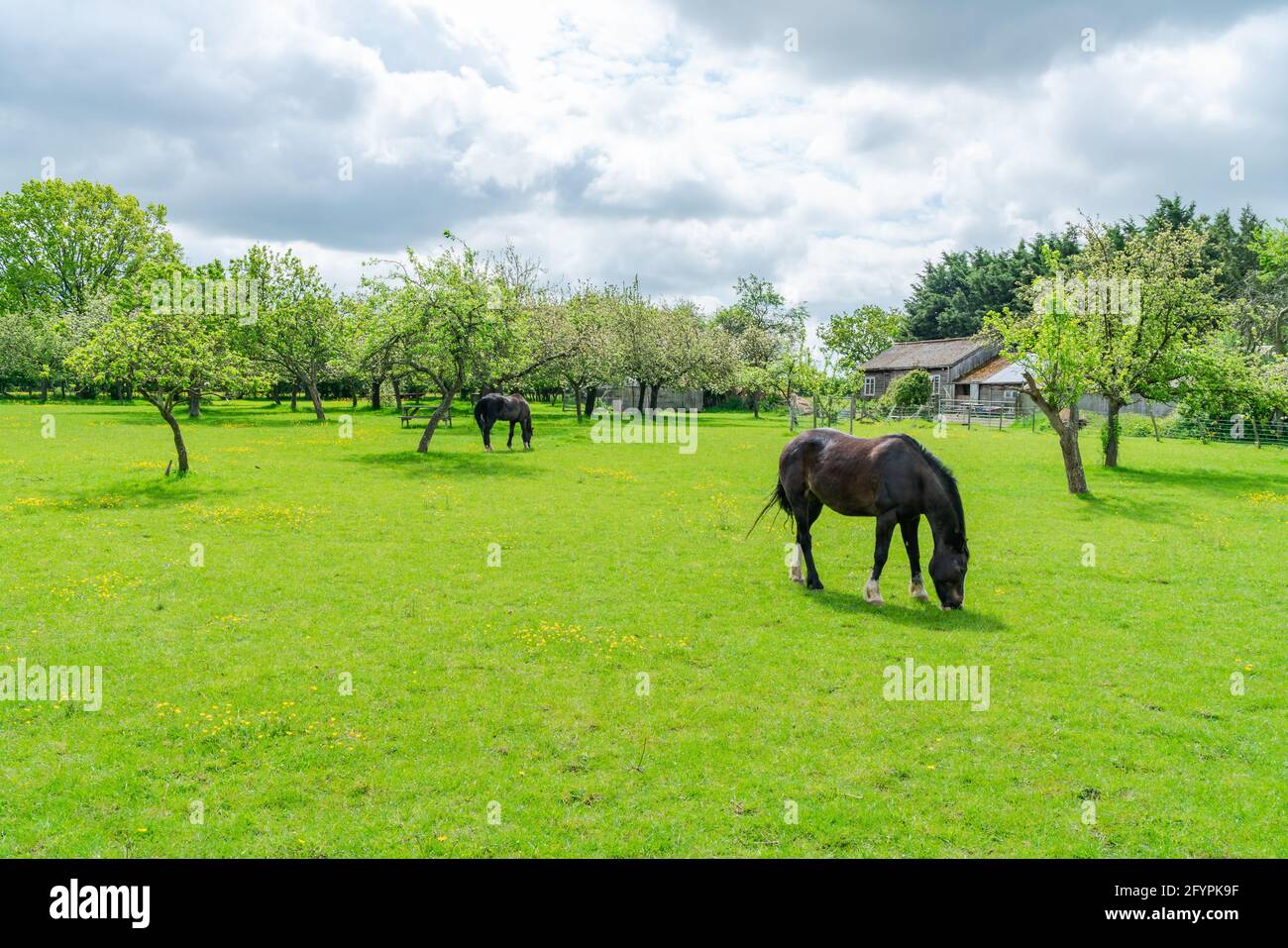 Rural kent scenery hi-res stock photography and images - Alamy