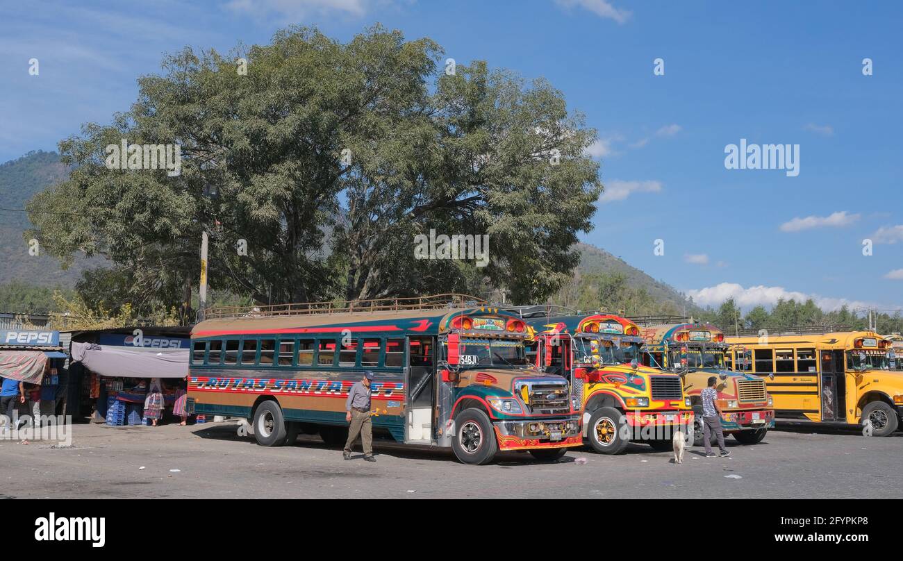 Colourful Guatemalan 'chicken buses' await passengers at the bus ...