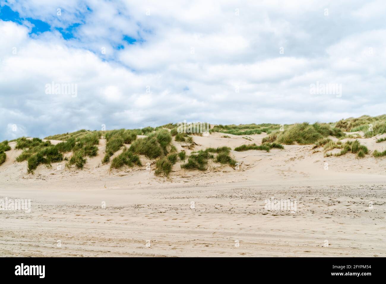 Sand dunes in Camber Sands beach in East Sussex, in the village of ...