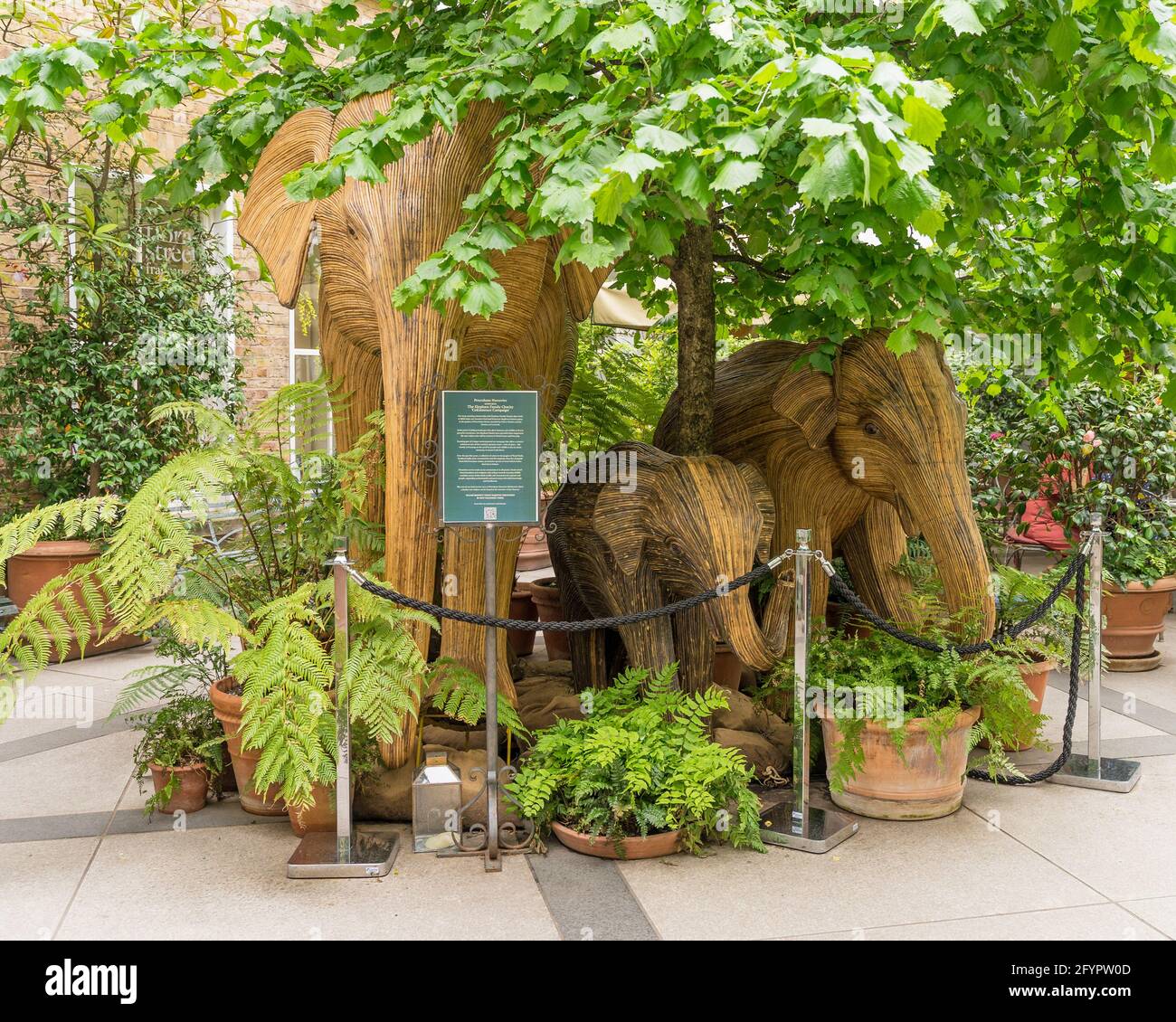 Life sized Asian elephants made from bamboo near a Covent Garden ...