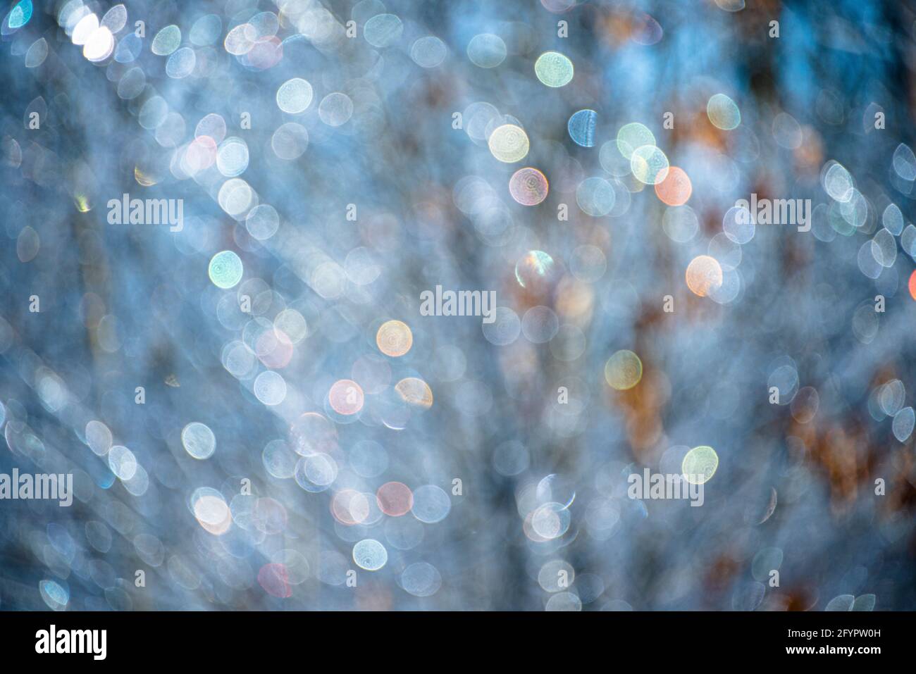 Ice covered trees with light refraction rainbows Stock Photo - Alamy