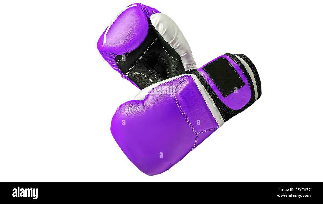 Boxing gloves close-up on isolated on white background. Purple boxing ...