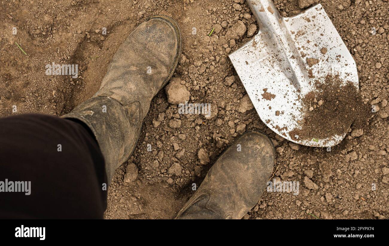 Farmer's feet on the ground, shovel at human feet, top view of the ...