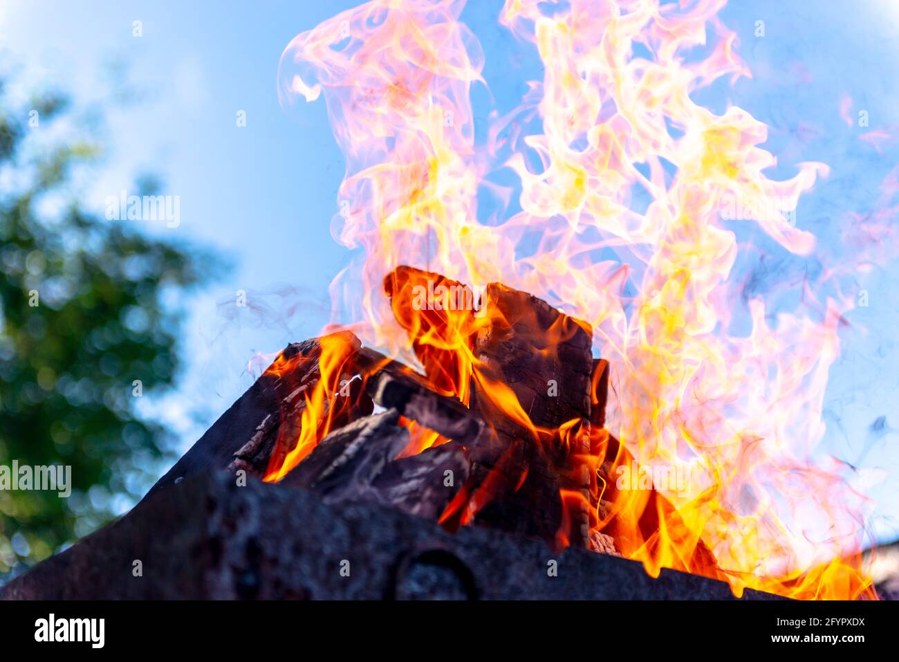 Bright petals of fire on a bright day. The bonfire is at its peak ...
