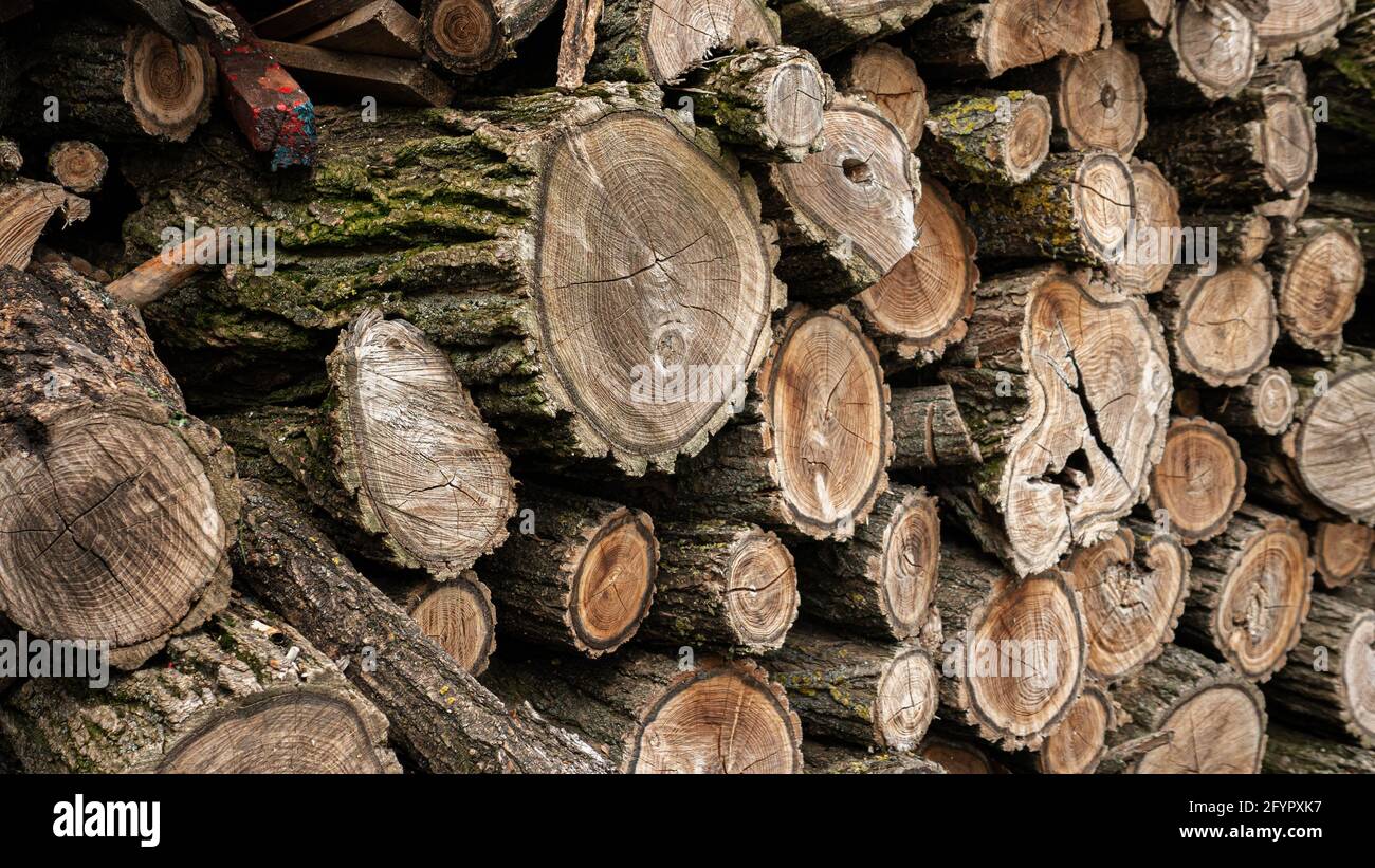 Dry firewood, firewood prepared. Ready-made logs for kindling a fire ...