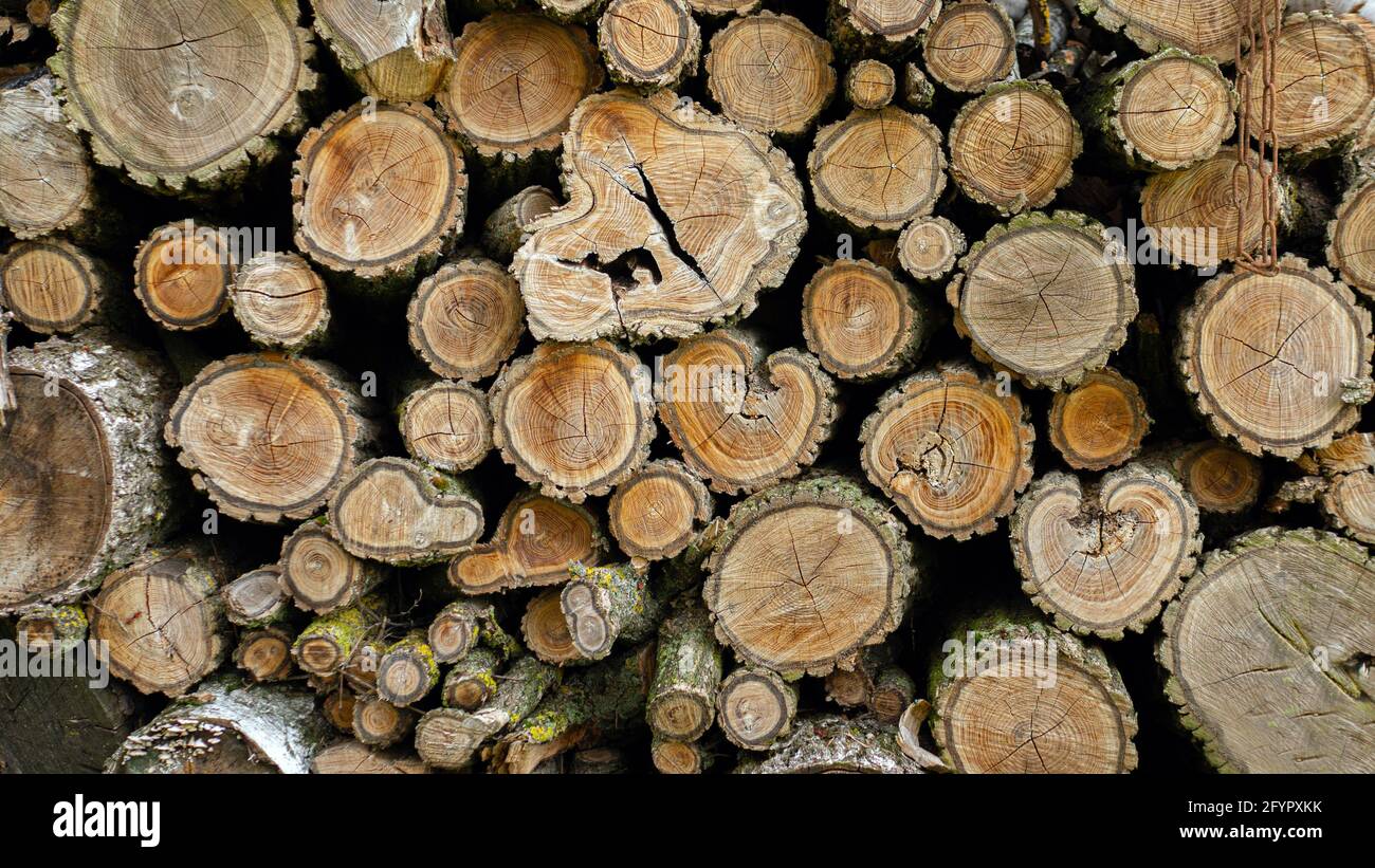 Firewood for the stove. Dry firewood, firewood prepared. Ready-made ...