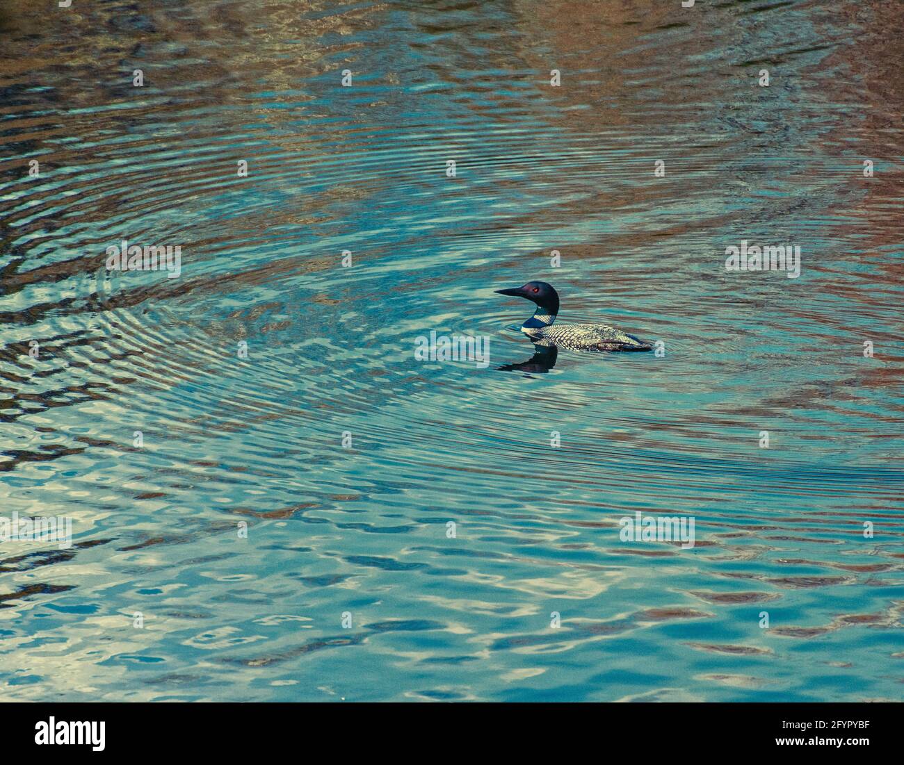 Artistic mate hi-res stock photography and images - Alamy