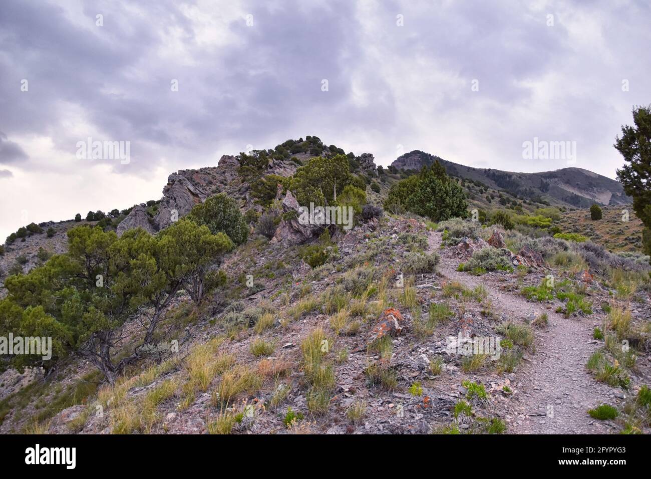 Mount Mahogany nature hiking trail landscape views, foothills of Mt ...