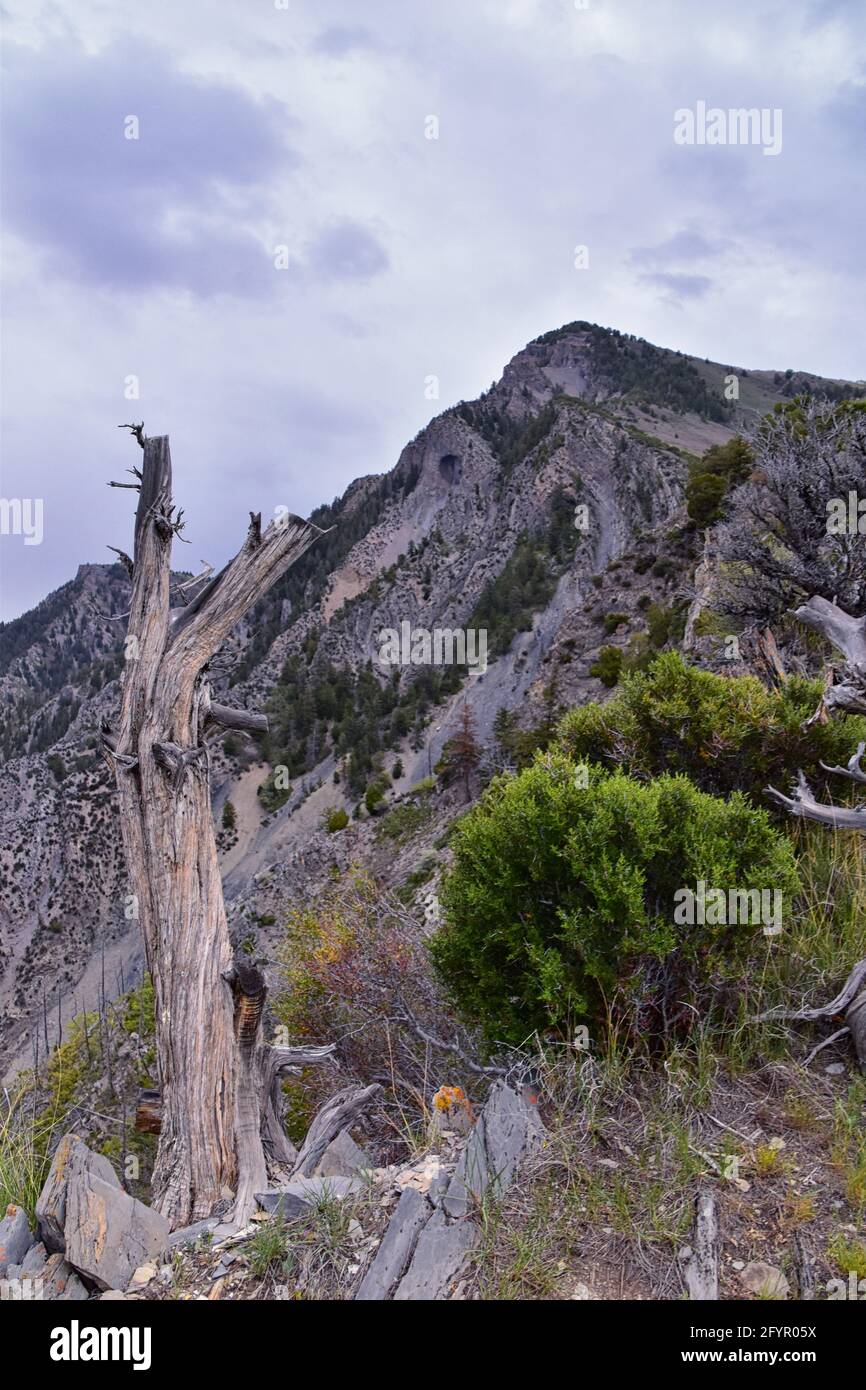 Provo utah foothills hi-res stock photography and images - Alamy