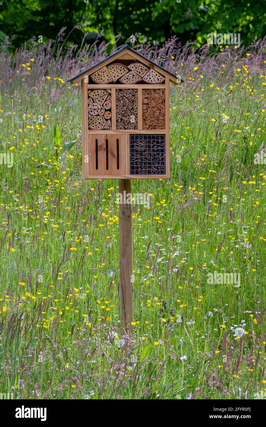 Insect palace hi-res stock photography and images - Alamy