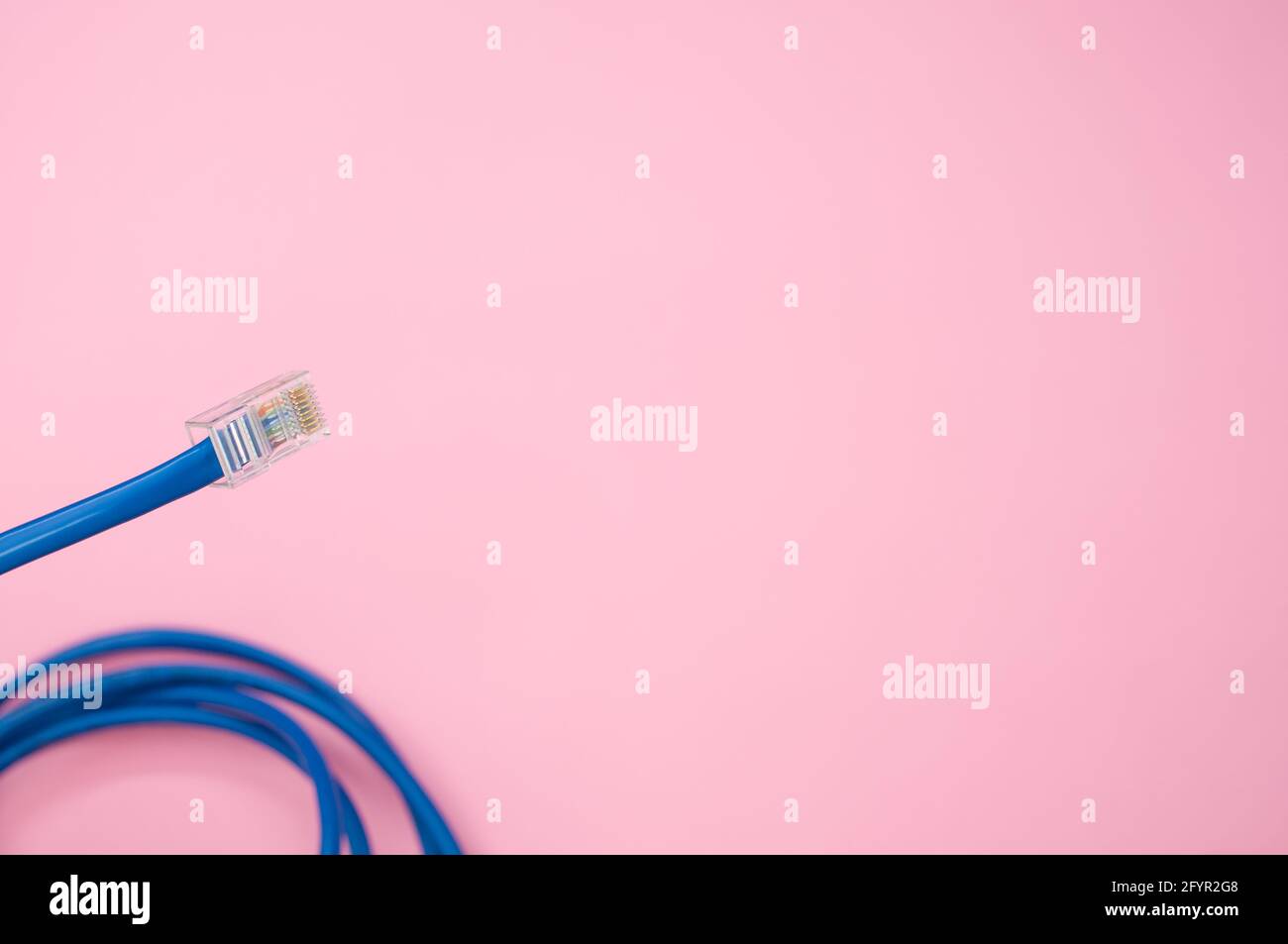 A top view of a blue LAN cable isolated on a pink background Stock ...