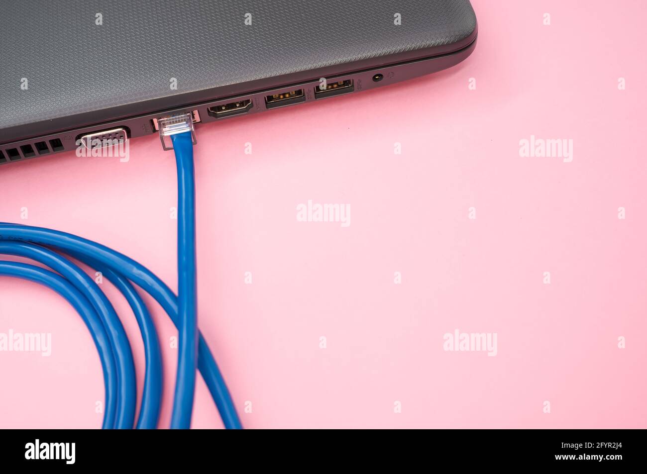 A closeup of a LAN cable connected to a laptop isolated on a pink ...