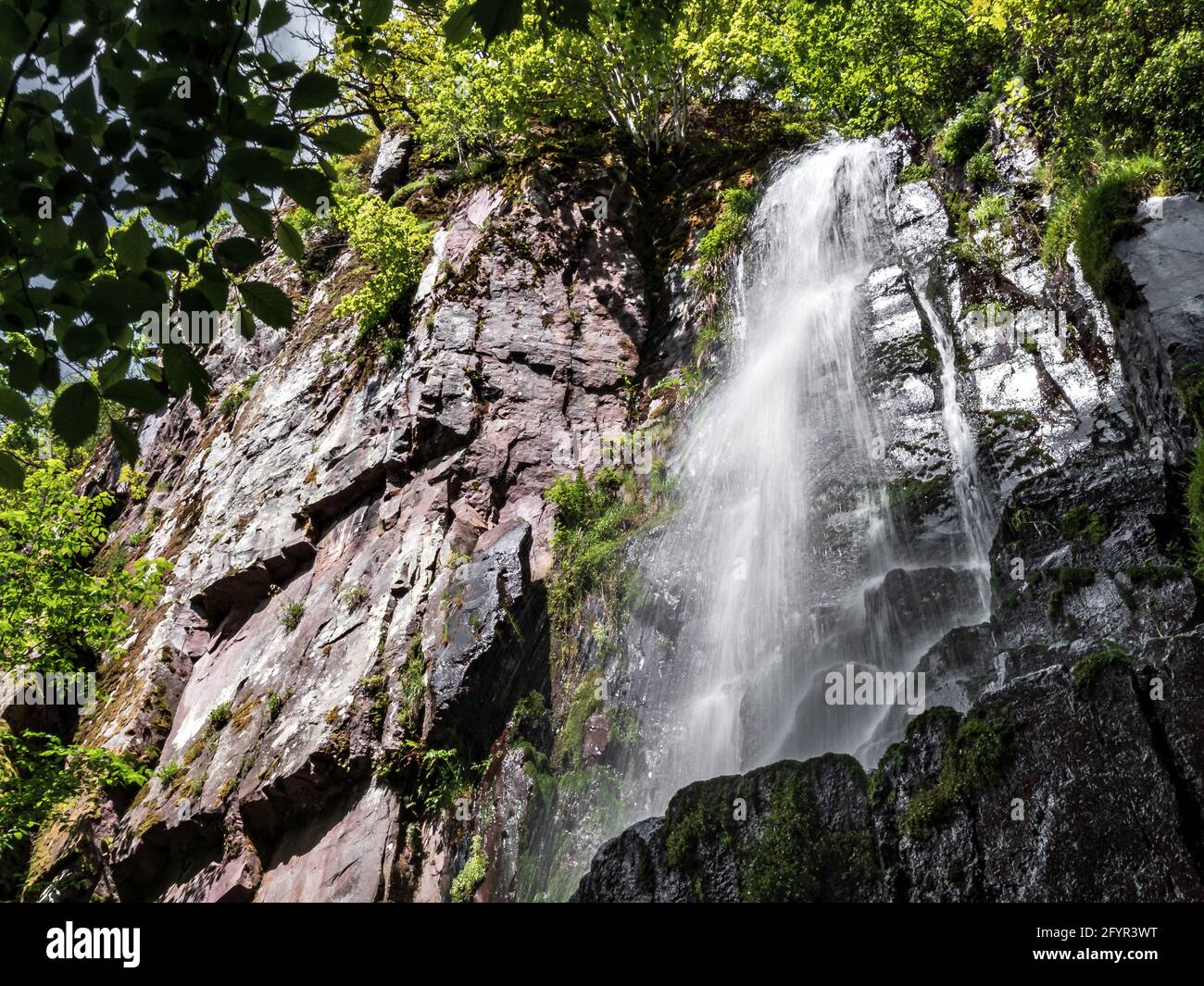 Nideck waterfall near the ruins of the medieval castle in Alsace ...