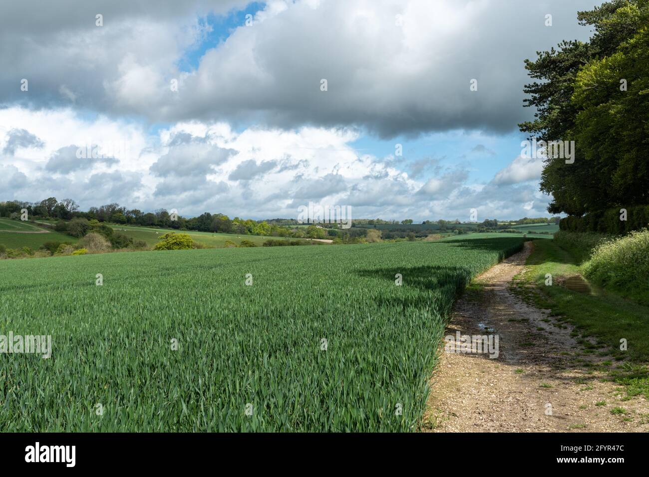 English countryside in may hi-res stock photography and images - Alamy