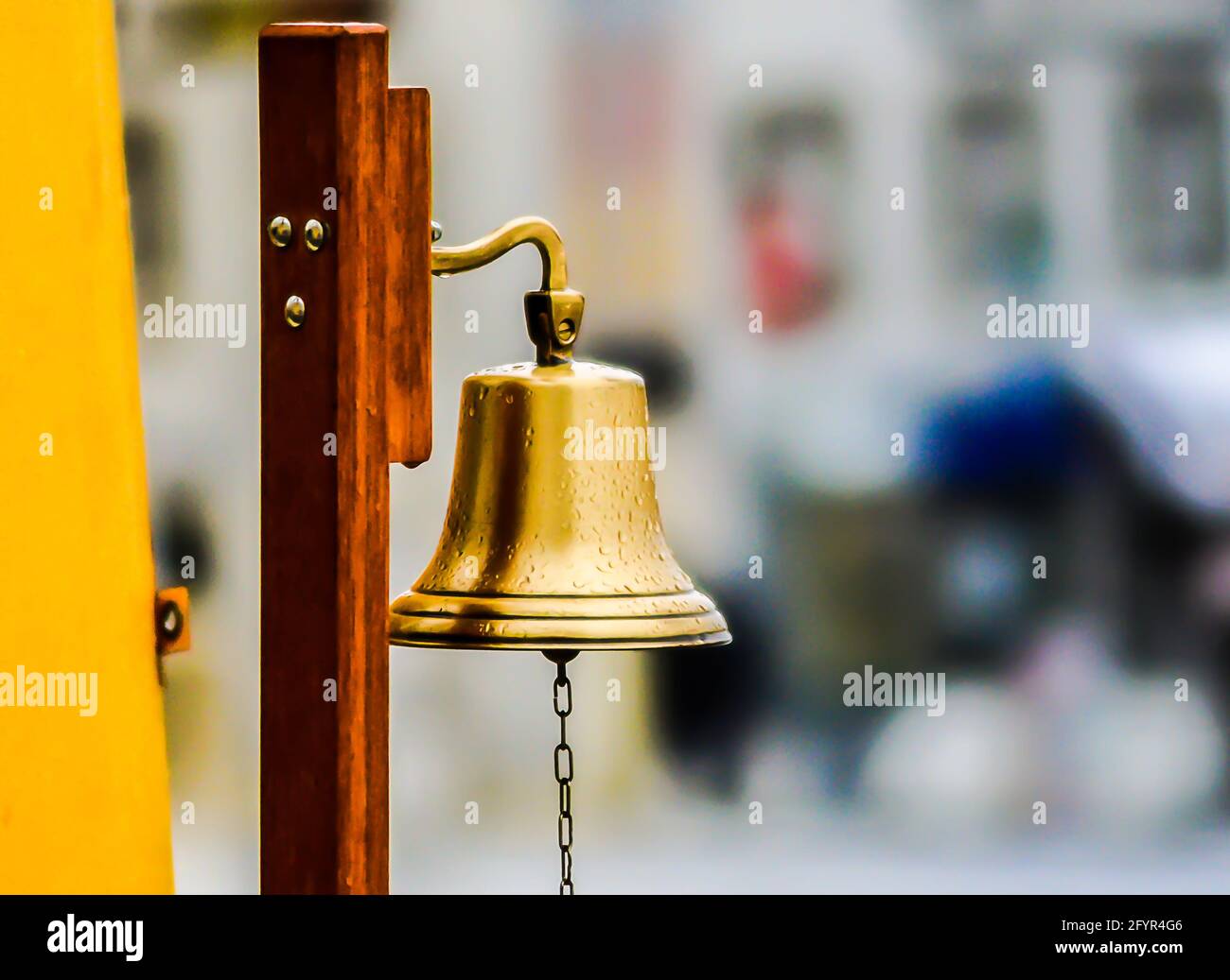 Bell cup hi-res stock photography and images - Alamy