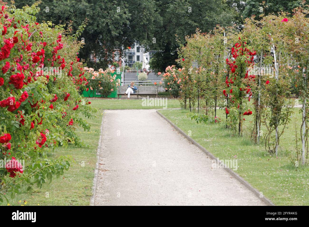 Pot de fleur rouge hi-res stock photography and images - Alamy