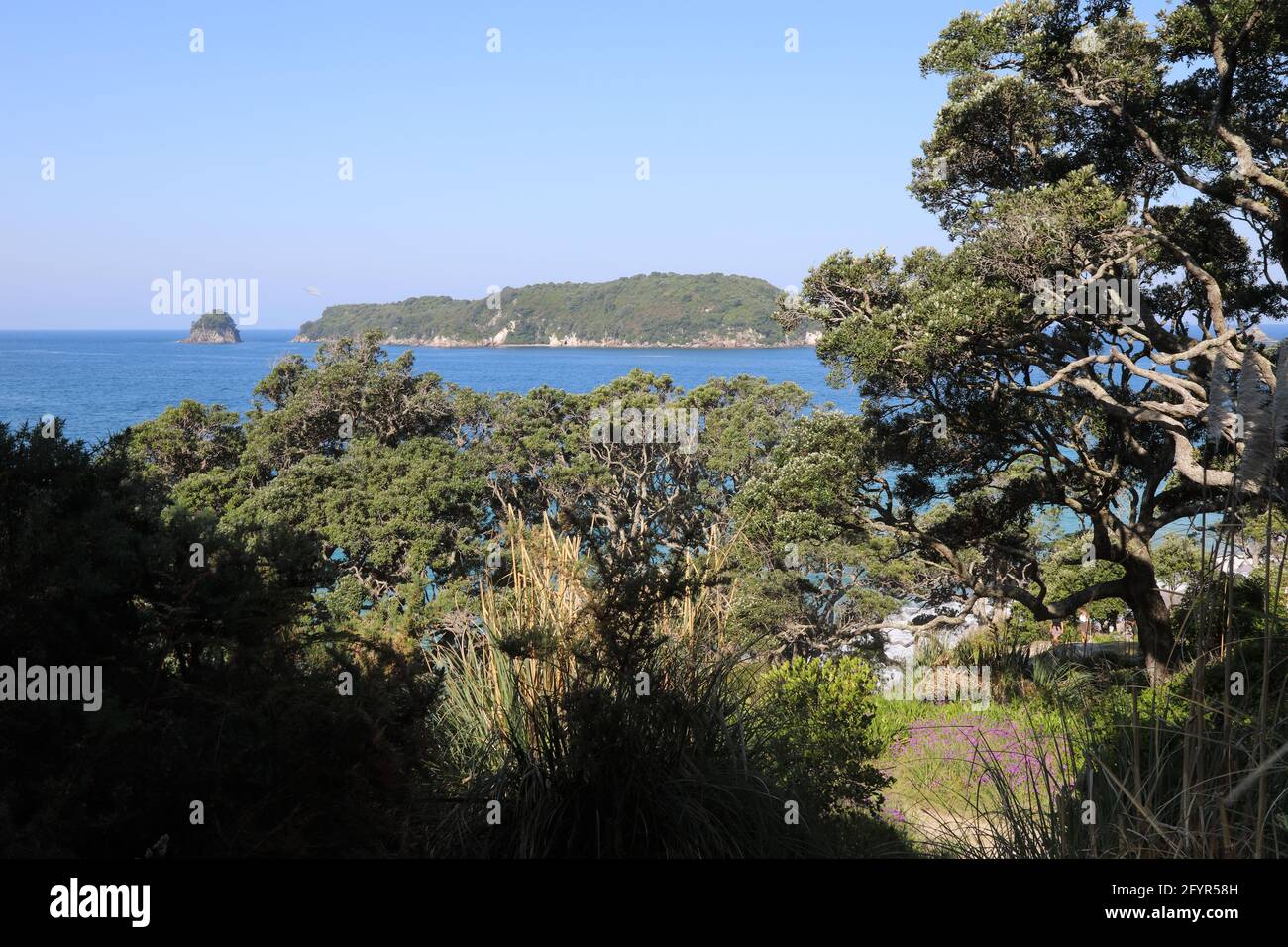 Gemstonebucht Neuseeland / Gemstone Bay New Zealand Stock Photo - Alamy