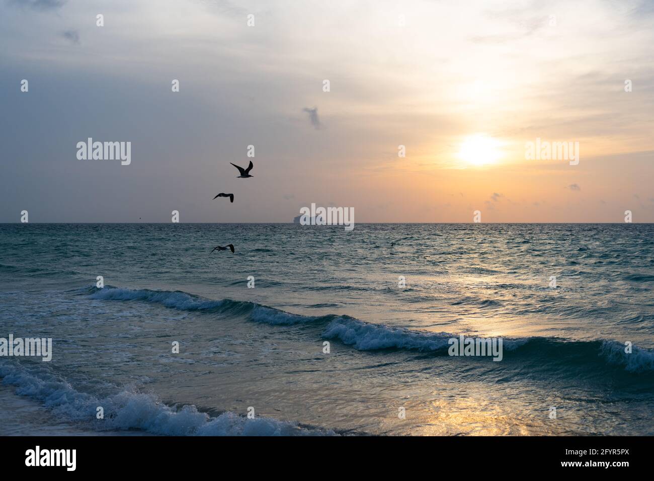 Beautiful twilight beach. Early morning, sunrise over sea. Ocean sunset ...