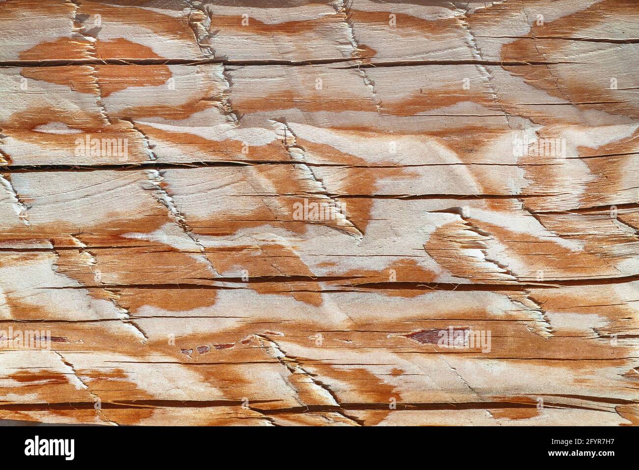 Rough cut lumber hi-res stock photography and images - Alamy