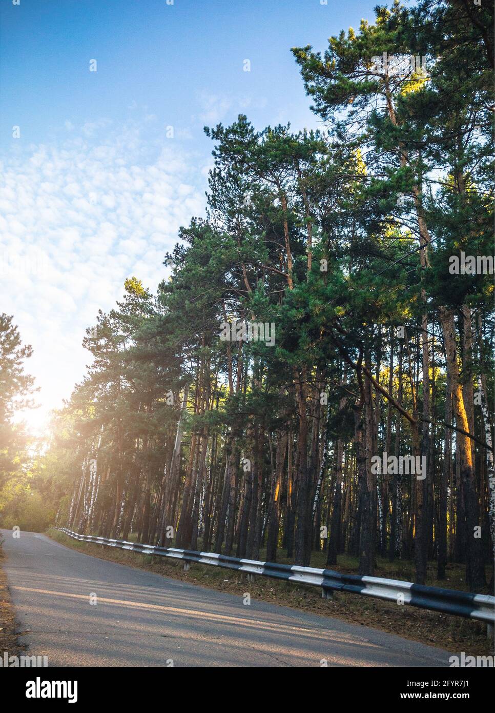Golden Road High Resolution Stock Photography and Images - Alamy