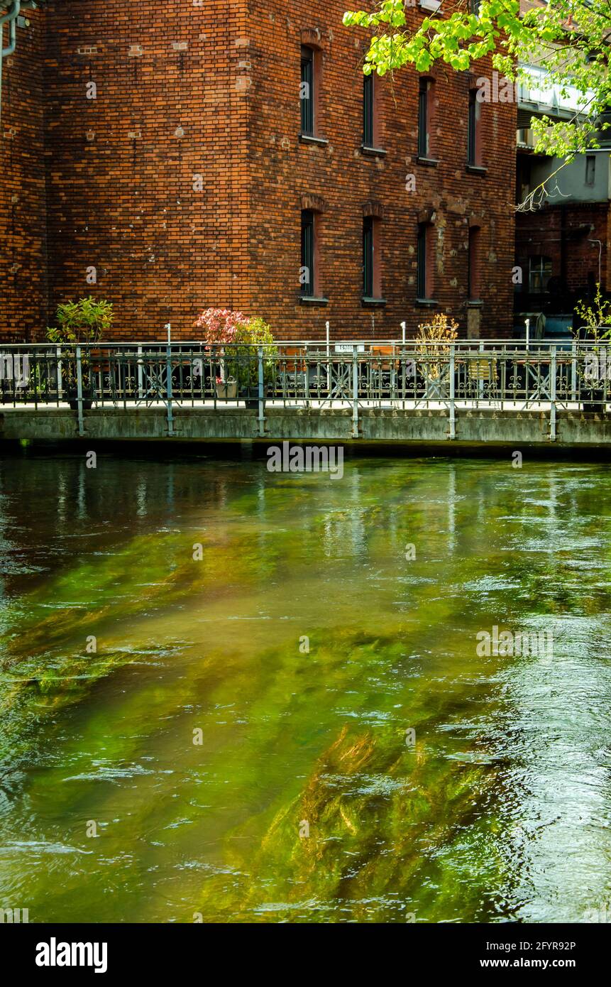 Vertical shot of a mossy river with a footbridge Stock Photo - Alamy