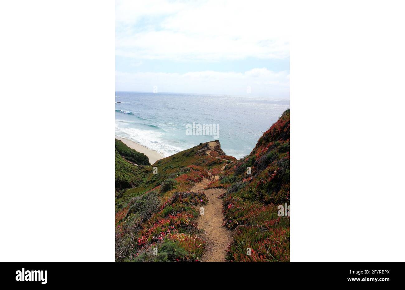 Hidden foot hi-res stock photography and images - Alamy