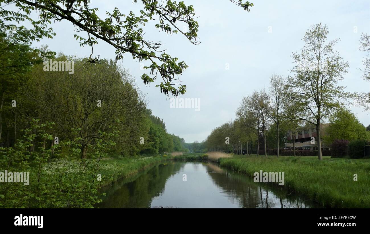 Beautiful view of the water surrounded by grass and the field on a ...