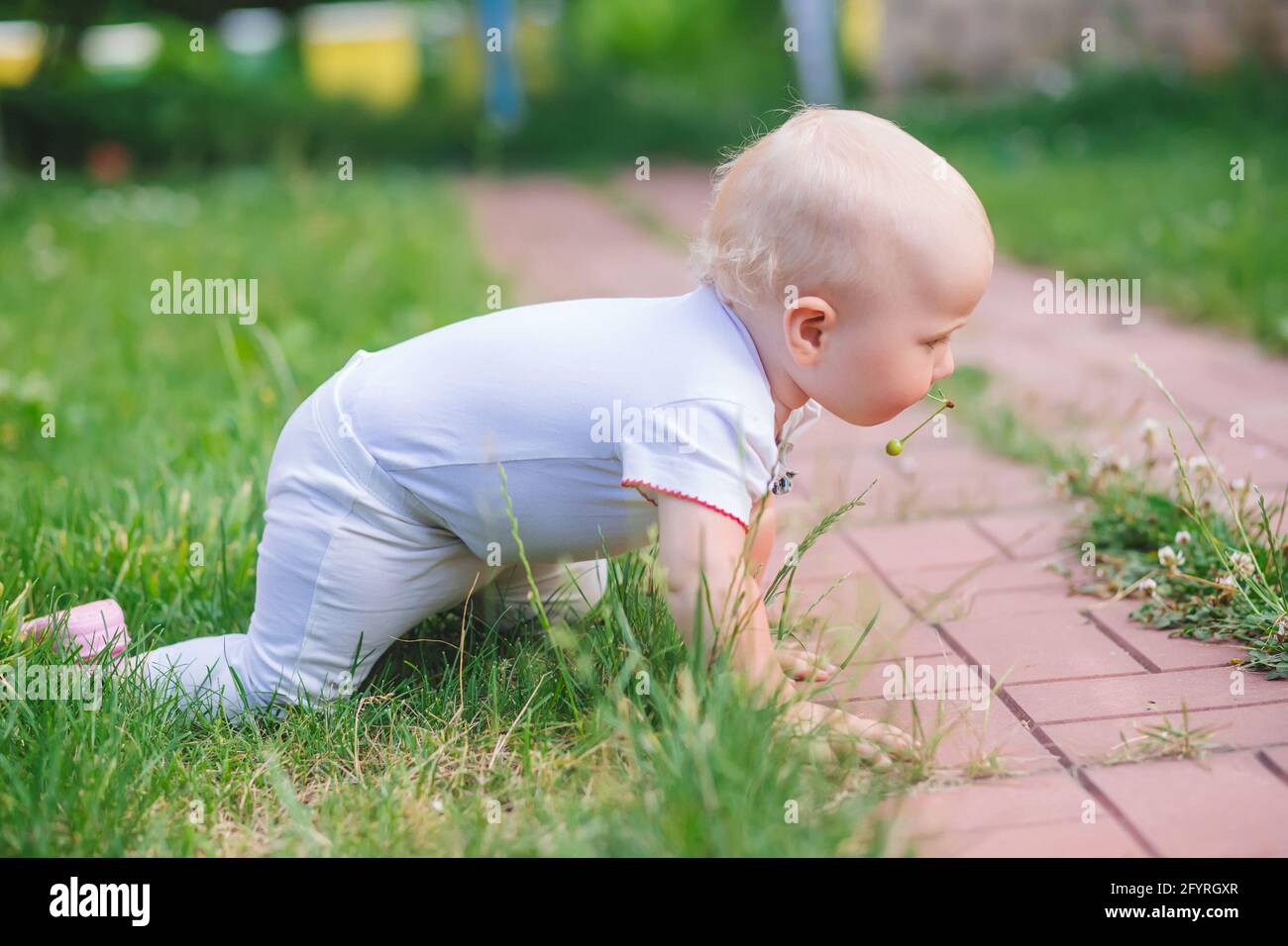 The baby crawls on the green grass. Kid in white clothes in outdoor ...