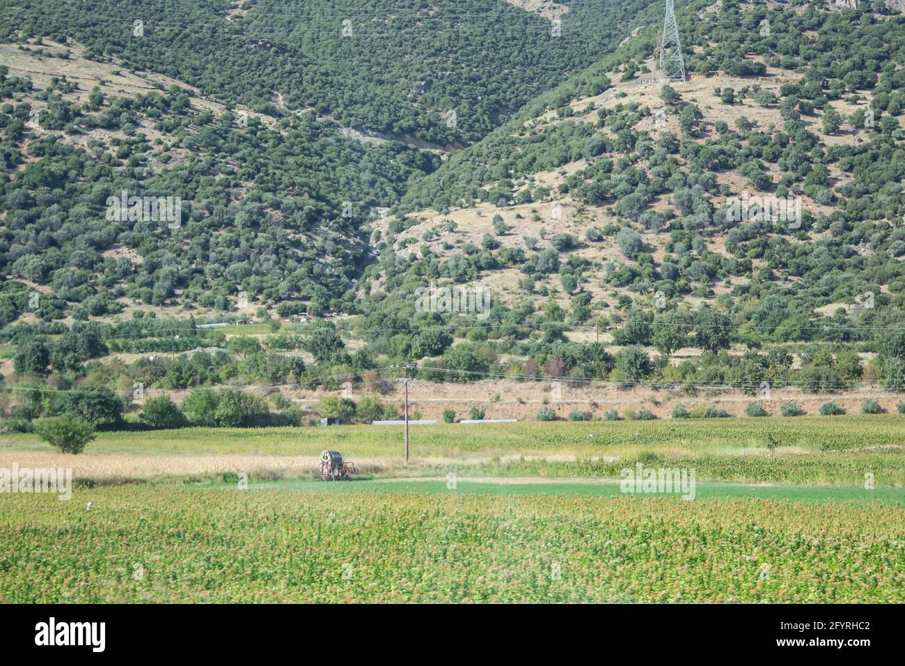 Greek fields hi-res stock photography and images - Alamy