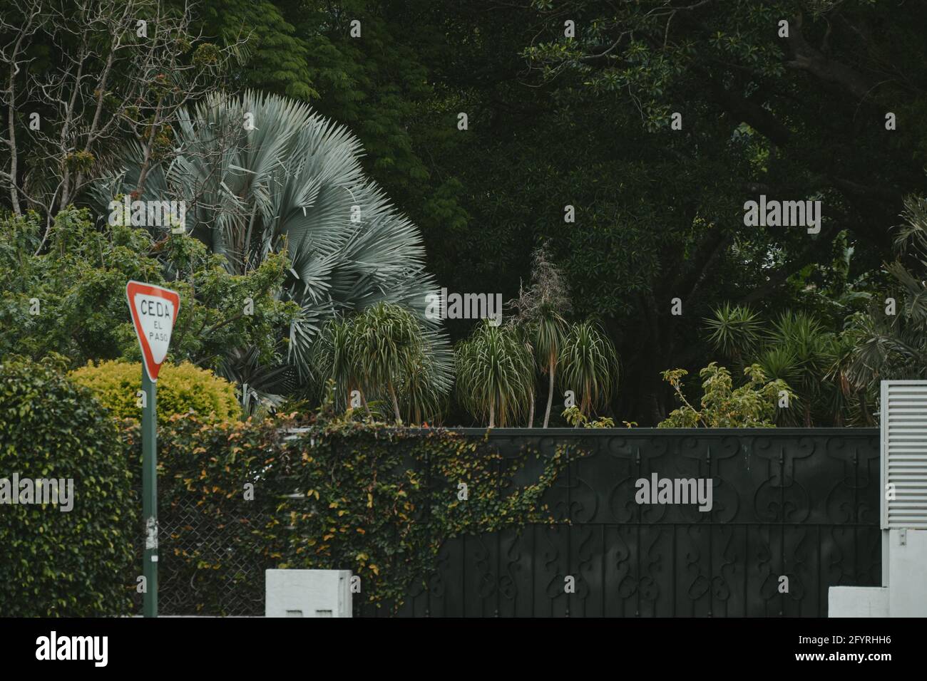 Huge gate with tropical trees and plants on a street Stock Photo - Alamy