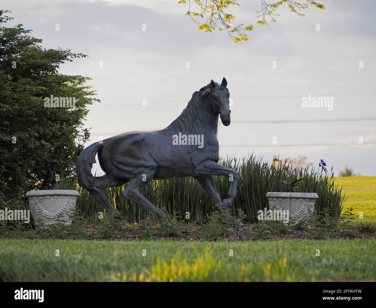Horse indiana park hi-res stock photography and images - Alamy
