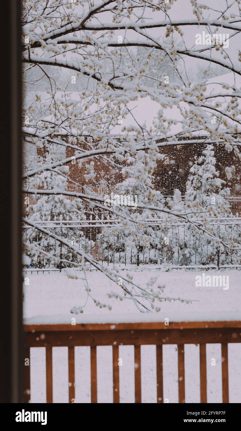 Vertical shot of a beautiful snowfall from the window Stock Photo - Alamy