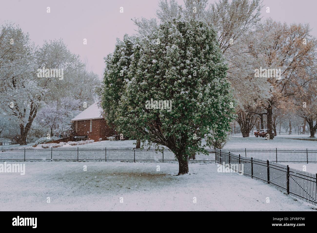 Closeup shot of a snow-covered lawn in a residential area Stock Photo ...