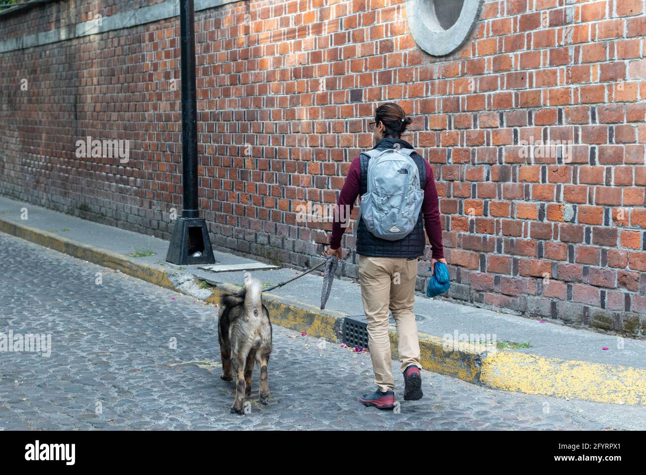 Young man with a backpack walking a dog Stock Photo - Alamy