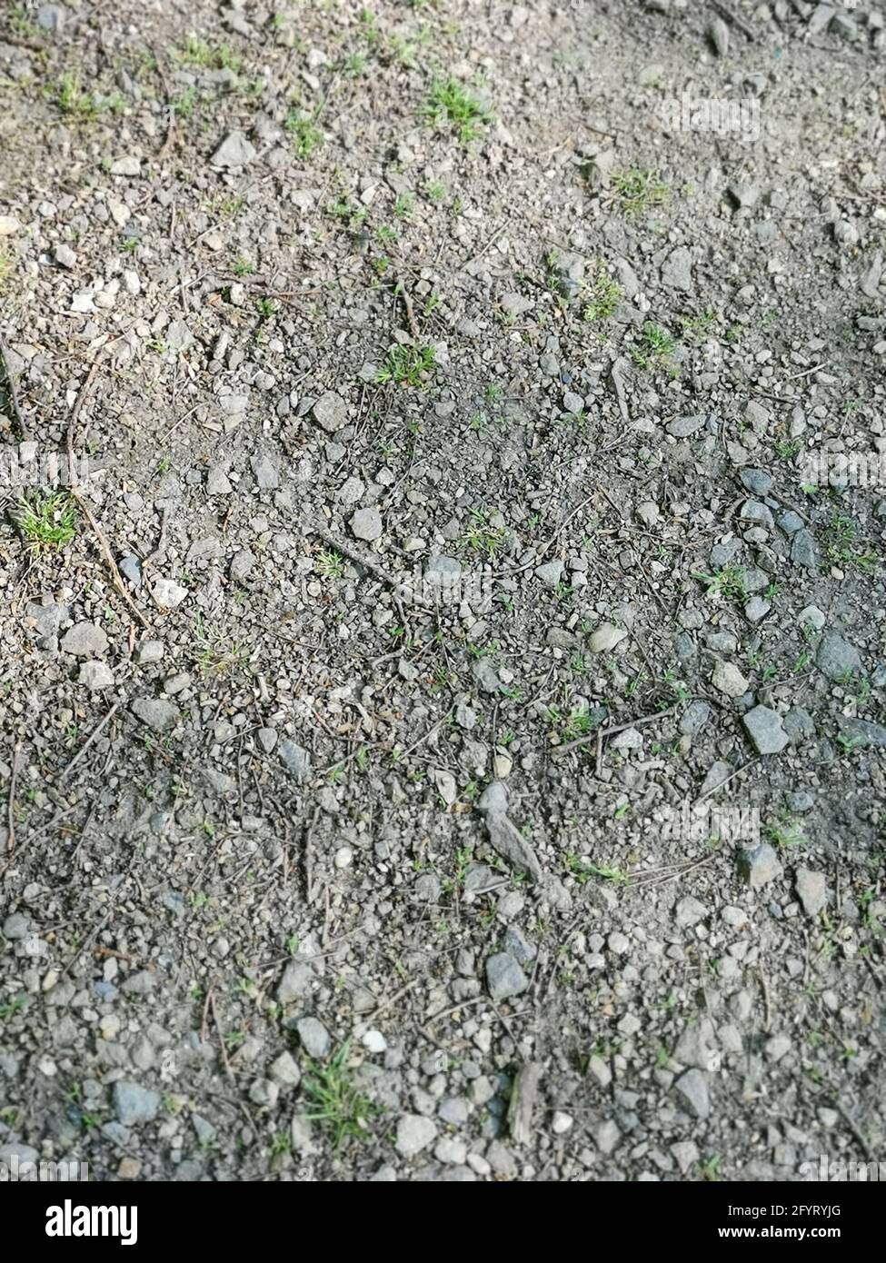 A top view of soil texture Stock Photo - Alamy