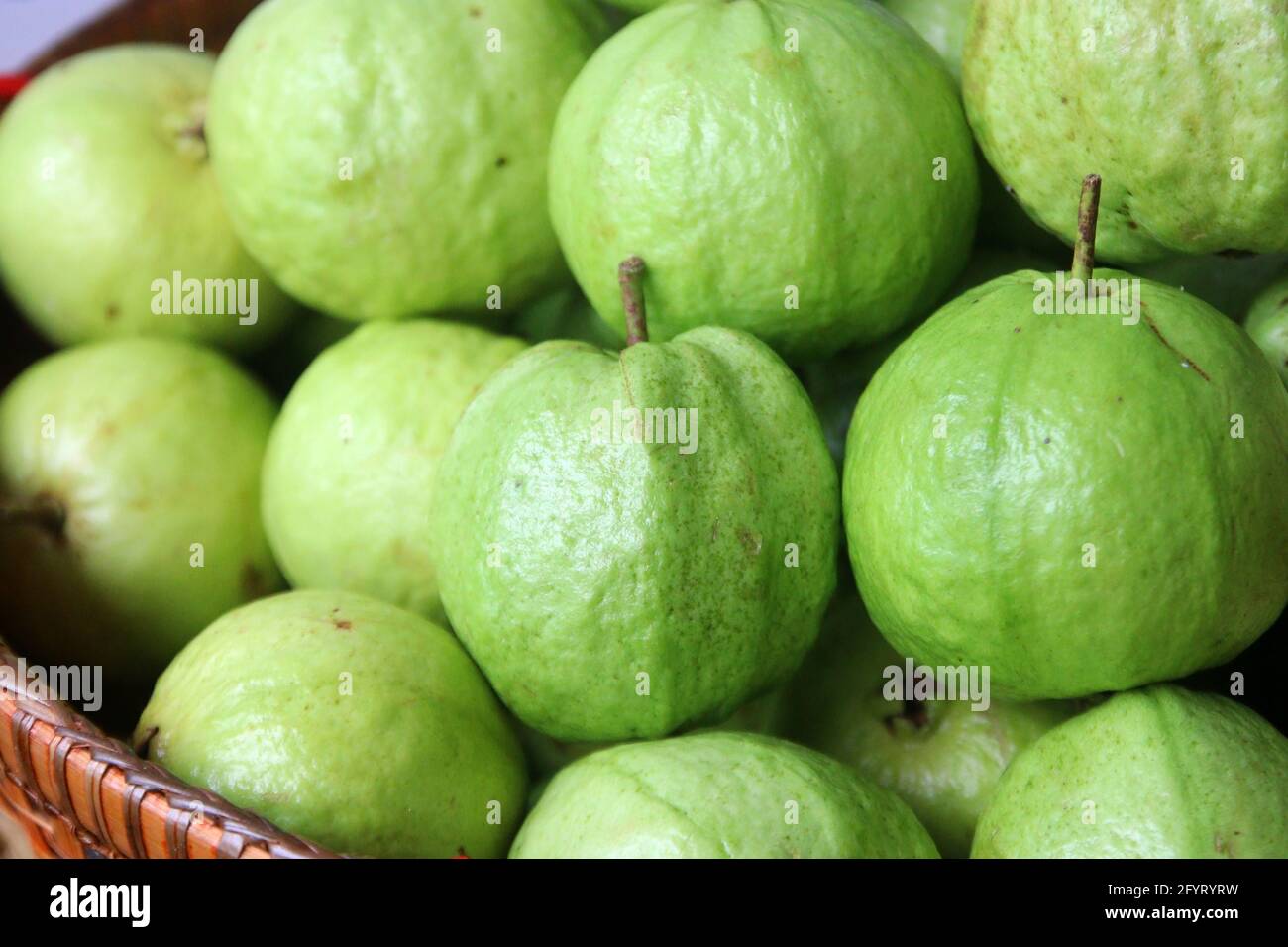 pile of guava fruit on market tray Stock Photo - Alamy